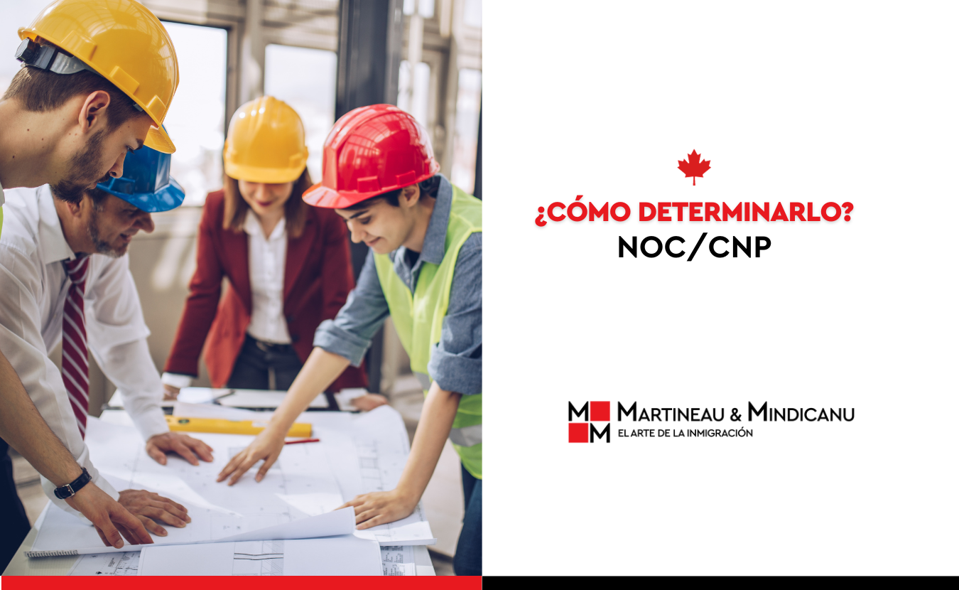 ¿Cómo determinar su NOC o CNP? - El Blog de Martineau & Mindicanu